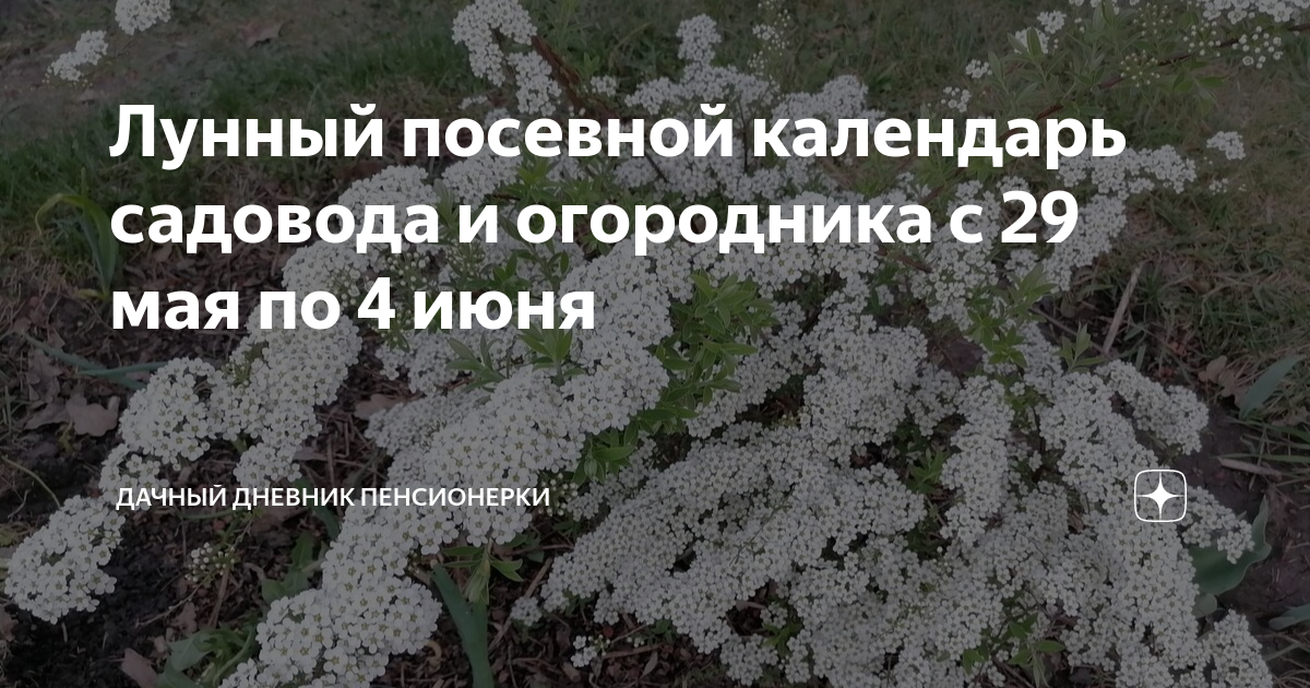 Лунный посевной календарь садовода и огородника с 29 мая по 4 июня