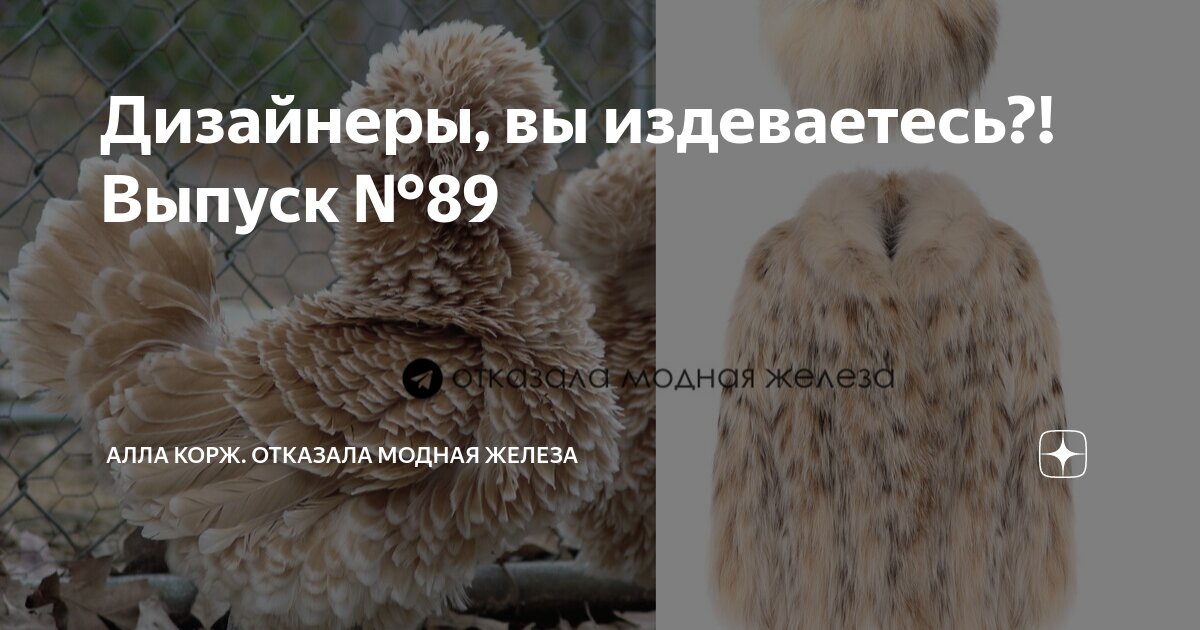 Дизайнеры вы издеваетесь Выпуск №89 Алла Корж Отказала модная