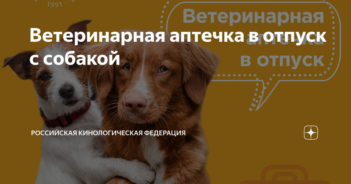 Ветеринарная аптечка в отпуск с собакой | Российская кинологическая ...