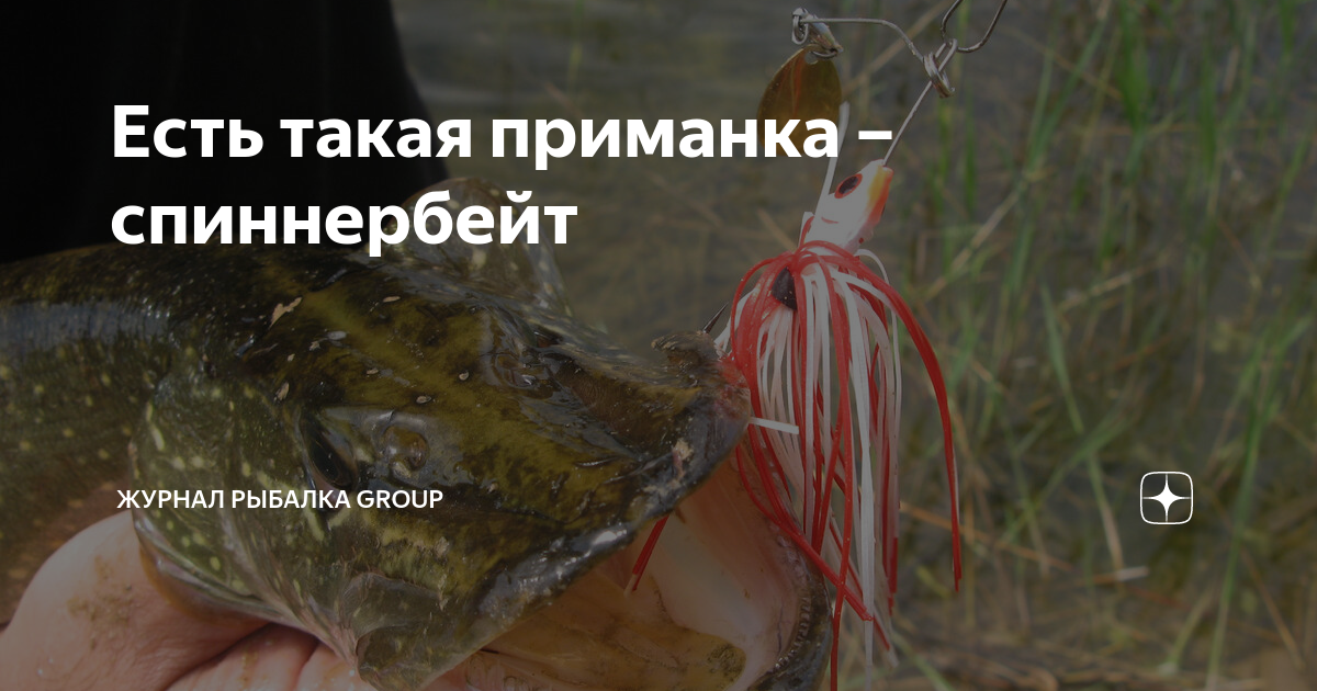 Есть такая приманка – спиннербейт | журнал Рыбалка GROUP | Дзен