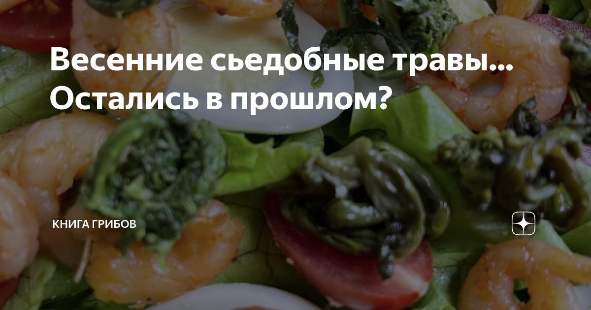 Весенние сьедобные травы Остались в прошлом Книга Грибов Дзен