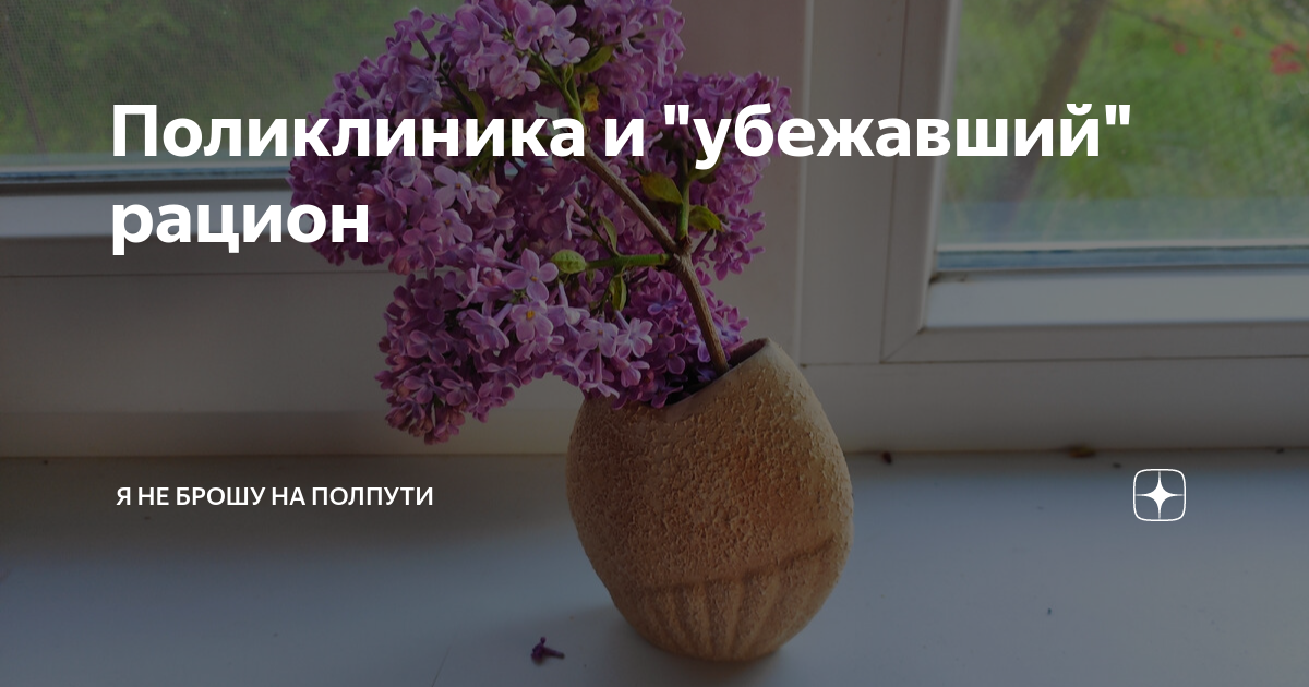 Поликлиника и убежавший рацион Я не брошу на полпути Дзен