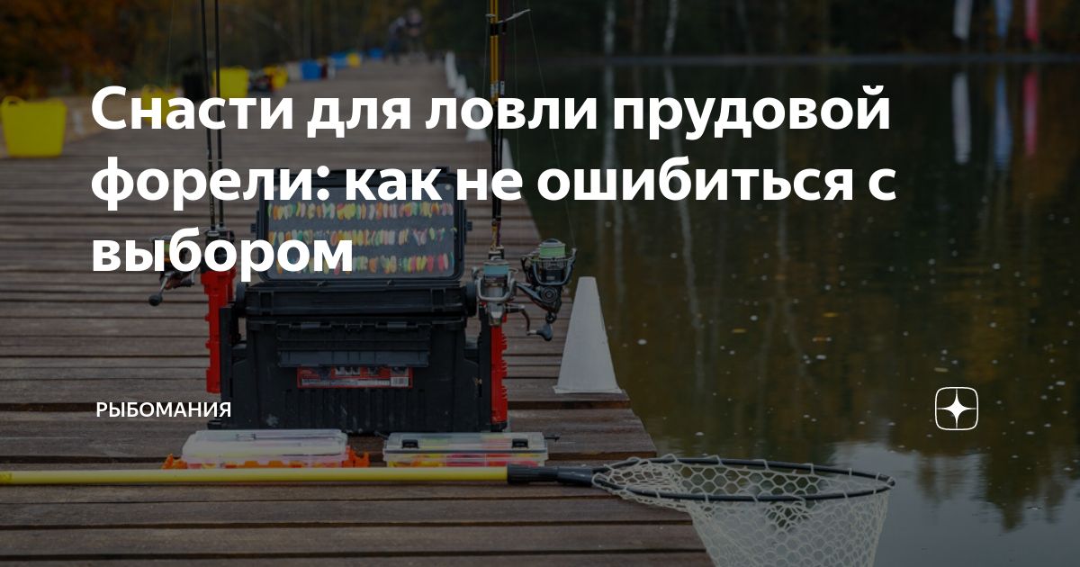 Снасти для ловли прудовой форели: как не ошибиться с выбором ...