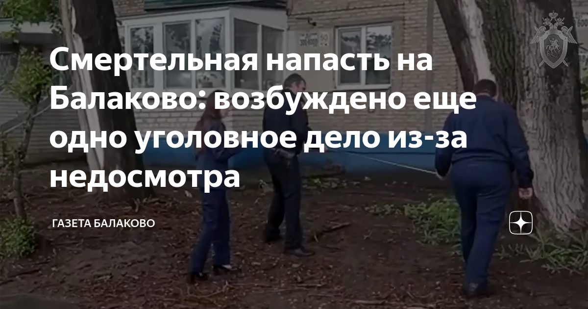Смертельная напасть на Балаково: возбуждено еще одно уголовное дело из ...
