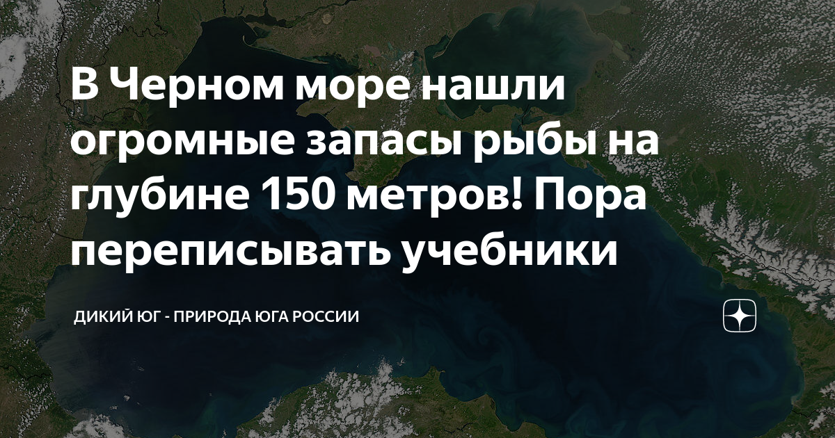 В Черном море нашли огромные запасы рыбы на глубине 150 метров! Пора ...