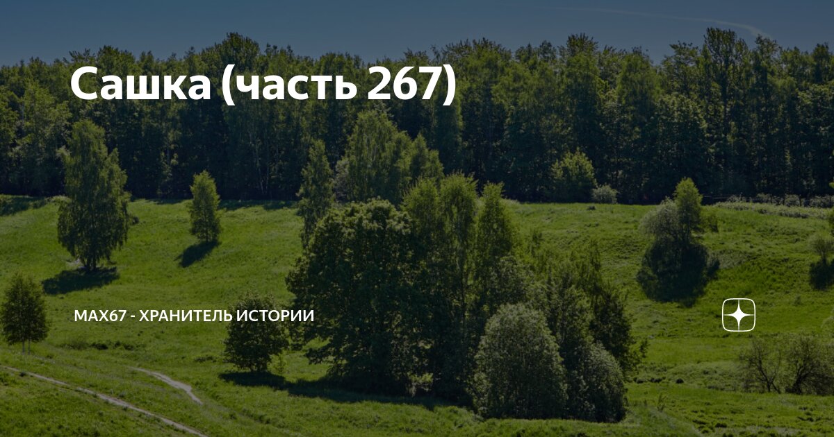 Сашка (часть 267) | MAX67 - Хранитель Истории | Дзен