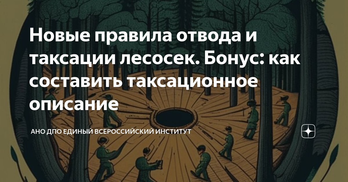 Новые правила отвода и таксации лесосек. Бонус: как составить ...