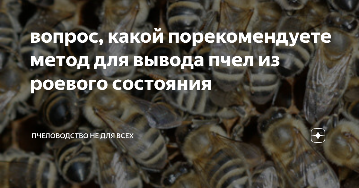 вопрос, какой порекомендуете метод для вывода пчел из роевого состояния ...