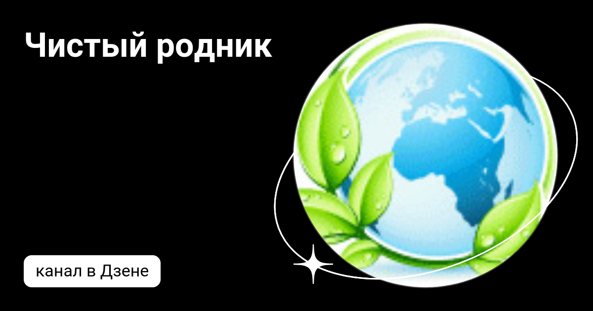 Чистый родник | Дзен