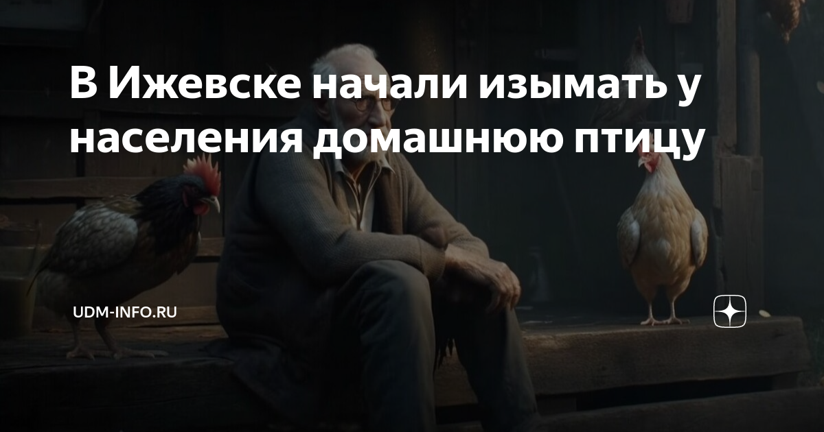 В Ижевске начали изымать у населения домашнюю птицу Udm Дзен