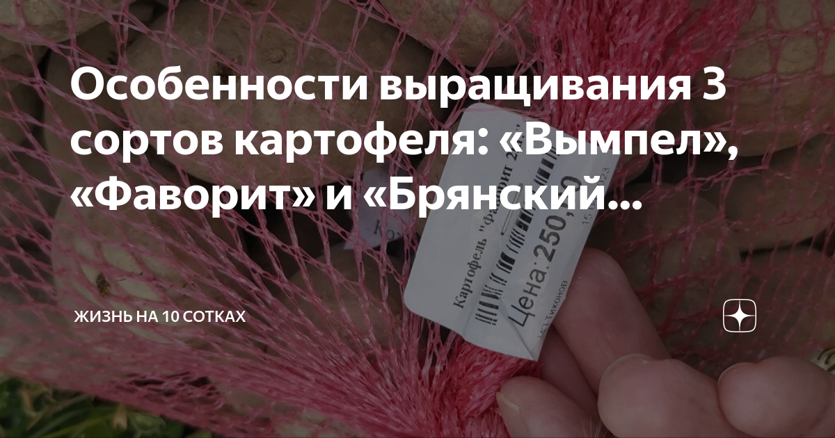 Особенности выращивания 3 сортов картофеля: «Вымпел», «Фаворит» и ...