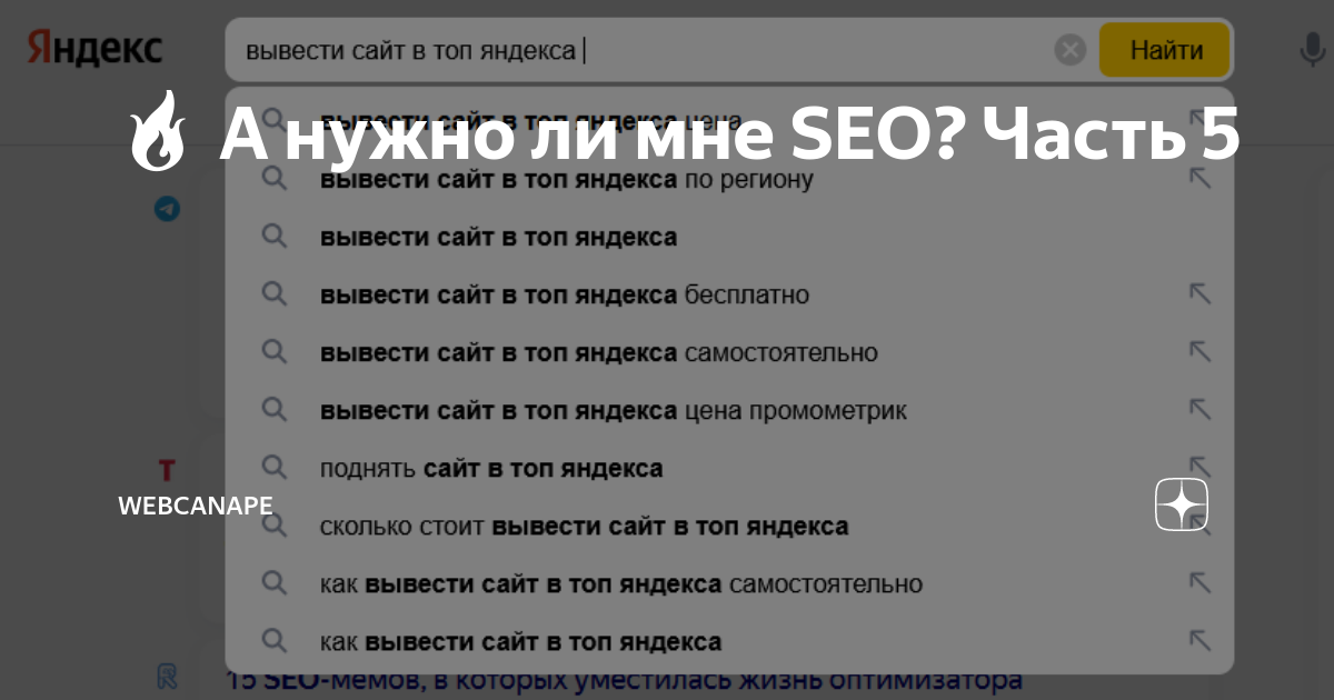 🔥 А нужно ли мне SEO? Часть 5 | WebCanape | Дзен