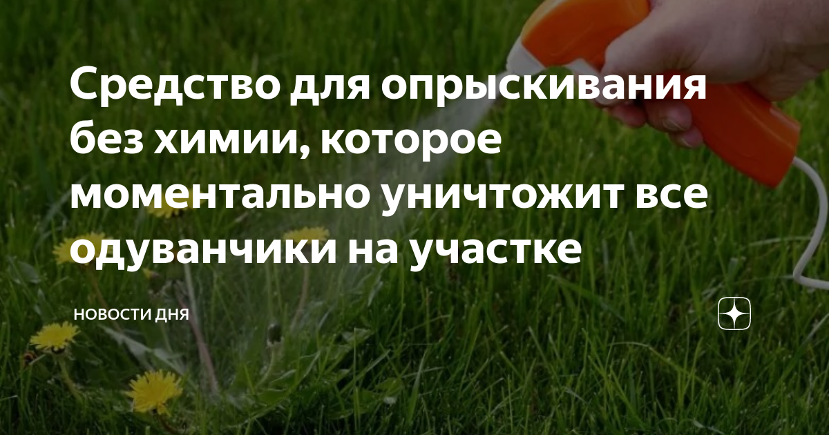 Средство для опрыскивания без химии, которое моментально уничтожит все ...