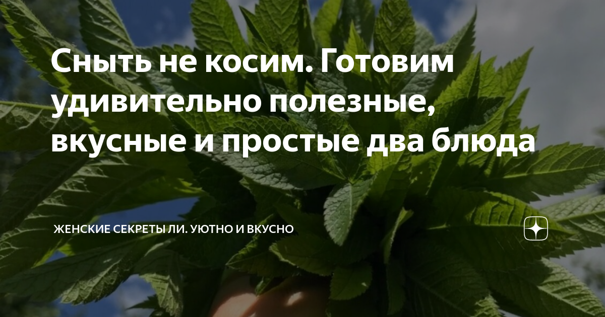 Сныть не косим. Готовим удивительно полезные, вкусные и простые два ...