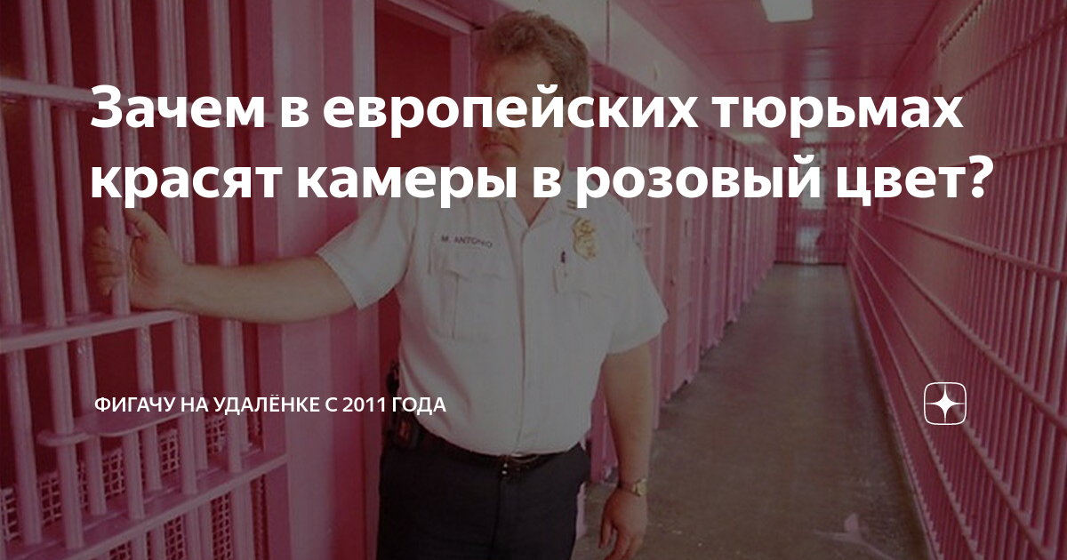 Зачем в европейских тюрьмах красят камеры в розовый цвет Фигачу на
