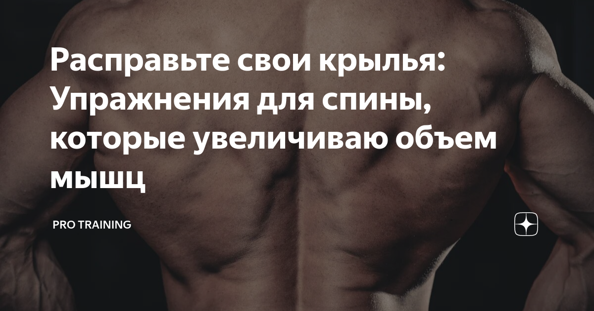 Расправьте свои крылья Упражнения для спины которые увеличиваю объем