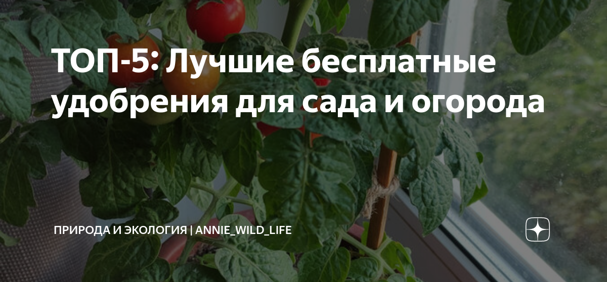 ТОП-5: Лучшие бесплатные удобрения для сада и огорода | Природа и ...