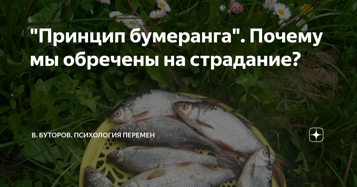 "Принцип бумеранга". Почему мы обречены на страдание? | В. Буторов ...