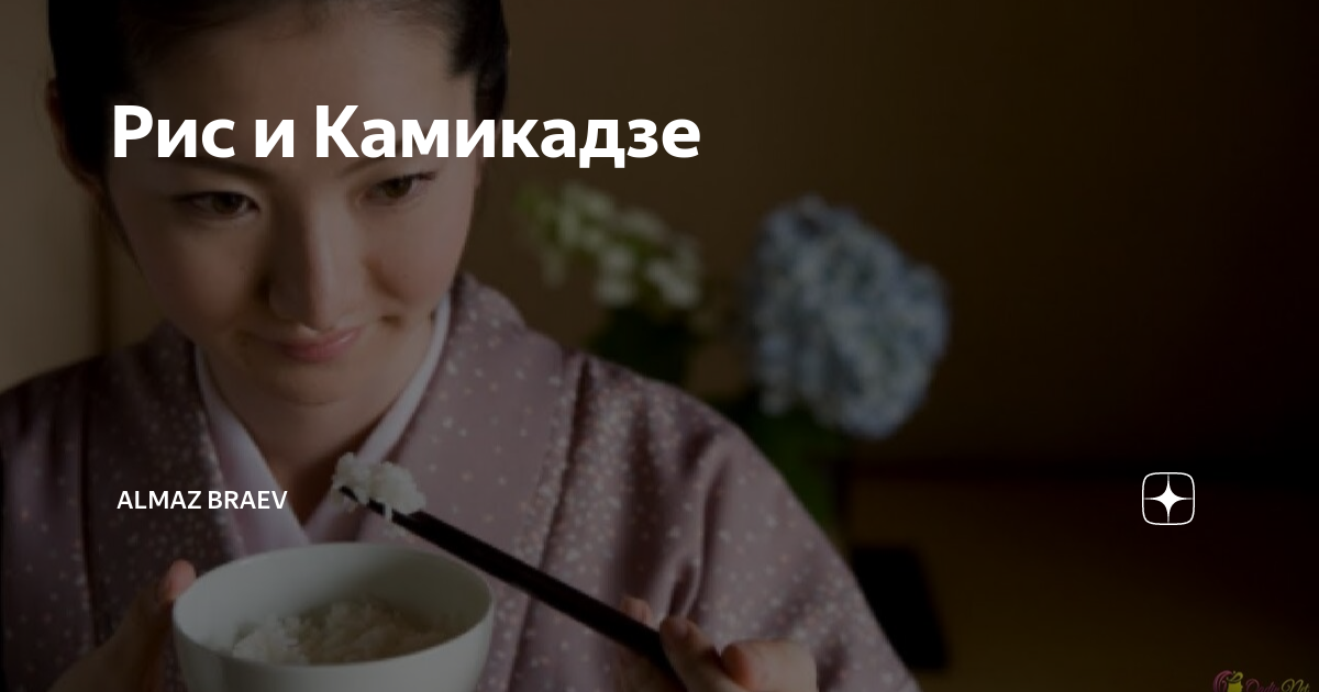 Рис и Камикадзе | Almaz Braev | Дзен