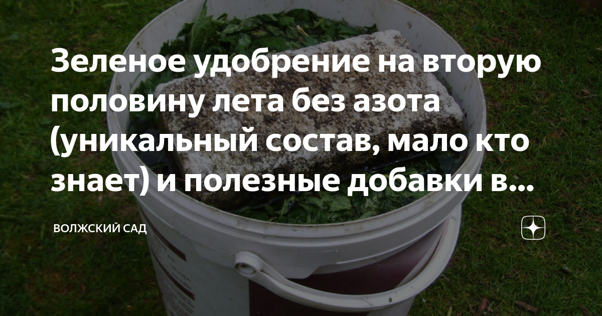 Зеленое удобрение на вторую половину лета без азота (уникальный состав ...