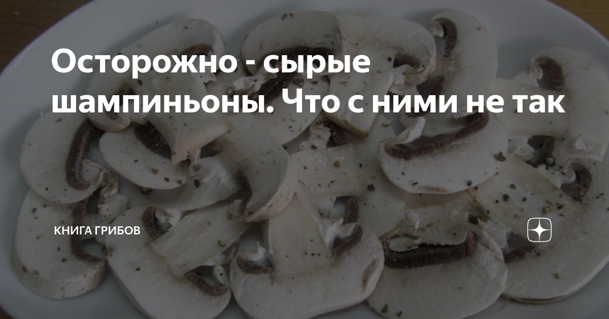 Осторожно - сырые шампиньоны. Что с ними не так | Книга Грибов | Дзен