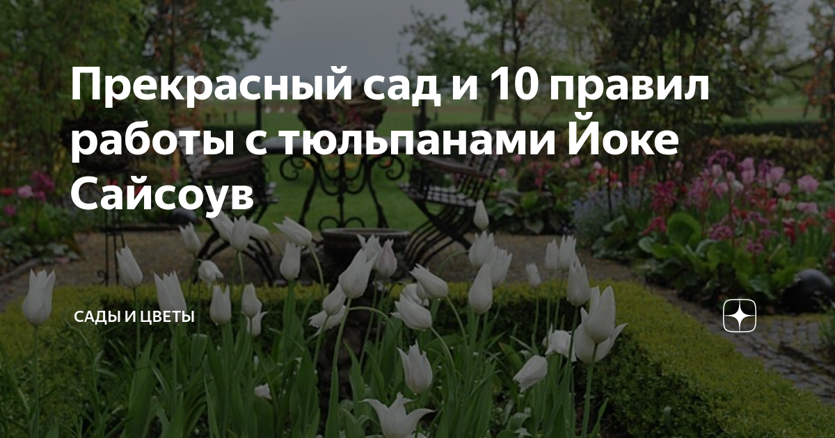 Прекрасный сад и 10 правил работы с тюльпанами Йоке Сайсоув | Сады и ...