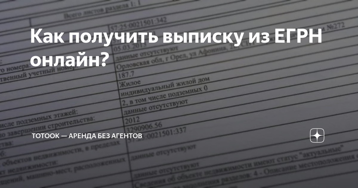 Как получить выписку из ЕГРН онлайн Тутук — аренда без агентов Дзен