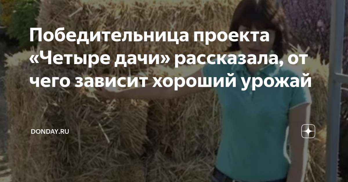Победительница проекта «Четыре дачи» рассказала, от чего зависит хороший урожай | Donday.ru | Дзен