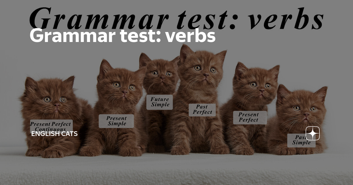 Grammar test: verbs | English Cats | Дзен