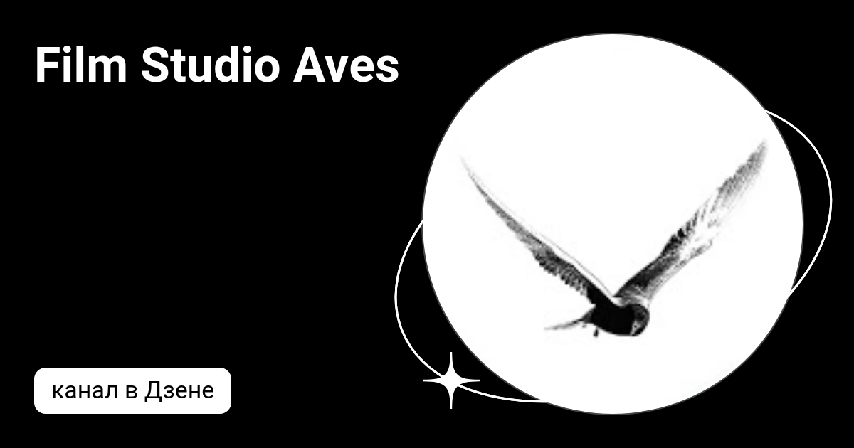 Film Studio Aves | Дзен