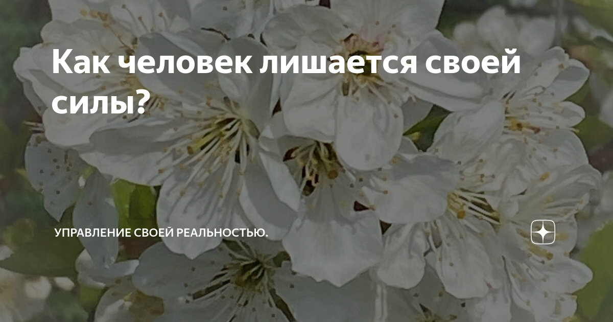 Как человек лишается своей силы? | Управление своей реальностью. | Дзен