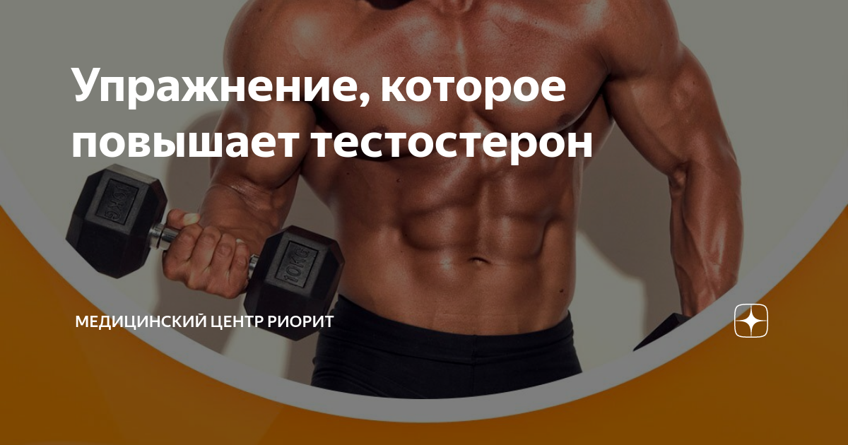 Упражнение, которое повышает тестостерон | Медицинский центр РИОРИТ | Дзен