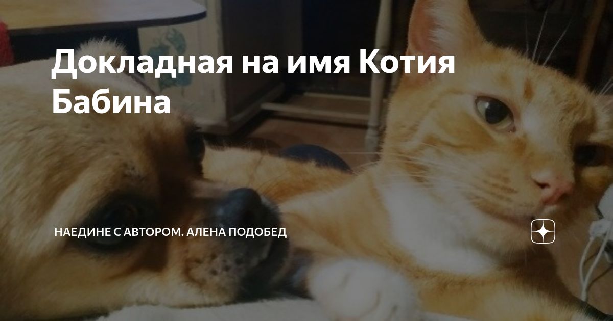 Докладная на имя Котия Бабина | Наедине с автором. Алена Подобед | Дзен