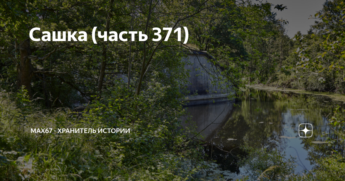 Сашка (часть 371) | MAX67 - Хранитель Истории | Дзен
