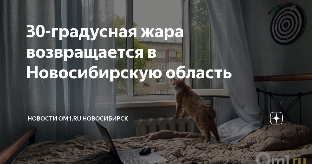 30-градусная жара возвращается в Новосибирскую область | Новости Om1.ru Новосибирск | Дзен