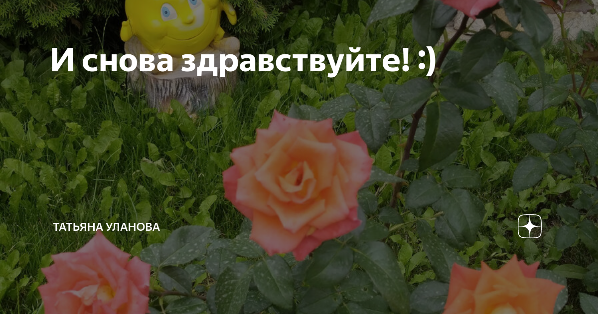 И снова здравствуйте! :) | Татьяна Уланова | Дзен