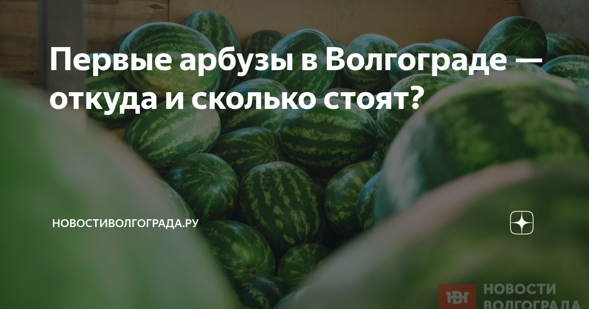 Первые арбузы в Волгограде — откуда и сколько стоят ...