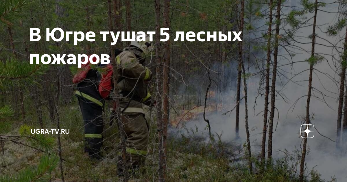 В Югре тушат 5 лесных пожаров | UGRA-TV.RU | Дзен
