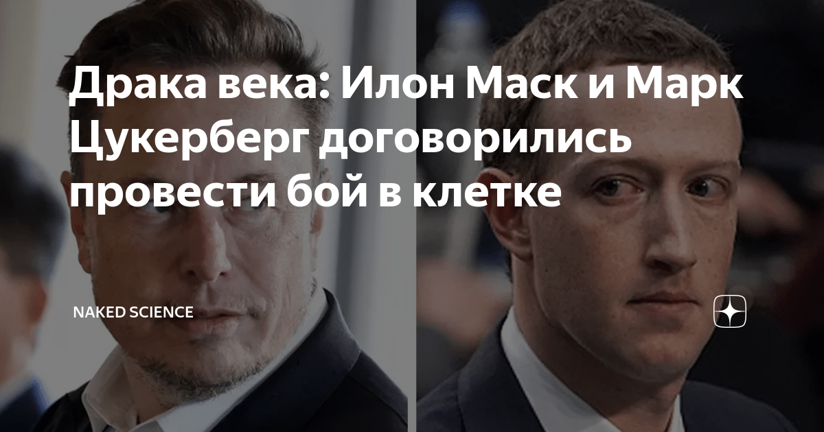 Драка века: Илон Маск и Марк Цукерберг договорились провести бой в ...