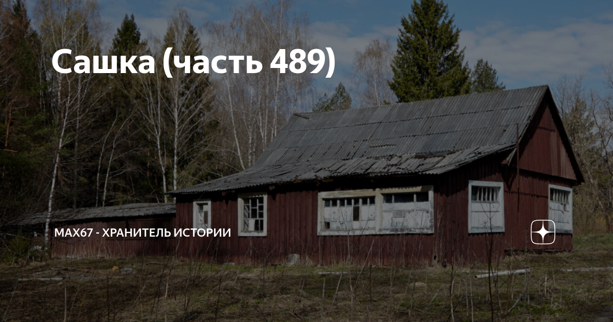 Сашка (часть 489) | MAX67 - Хранитель Истории | Дзен