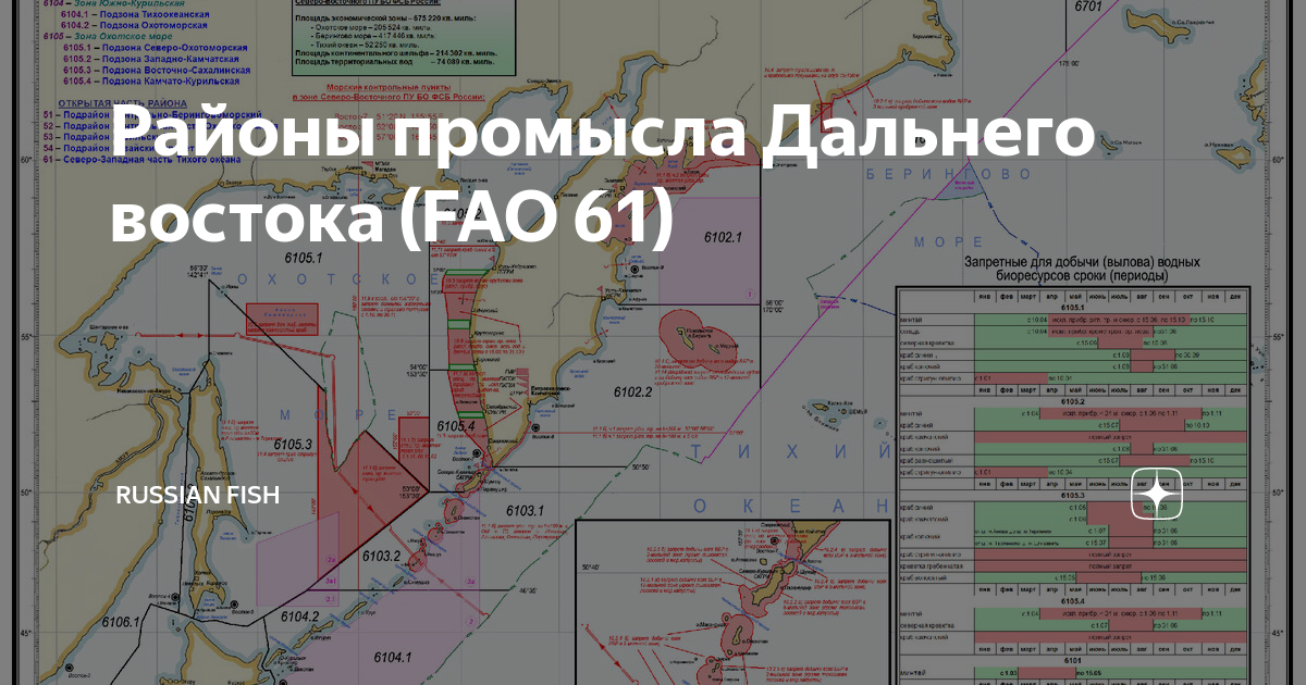 Районы промысла Дальнего востока (FAO 61) | Fish DV | Дзен