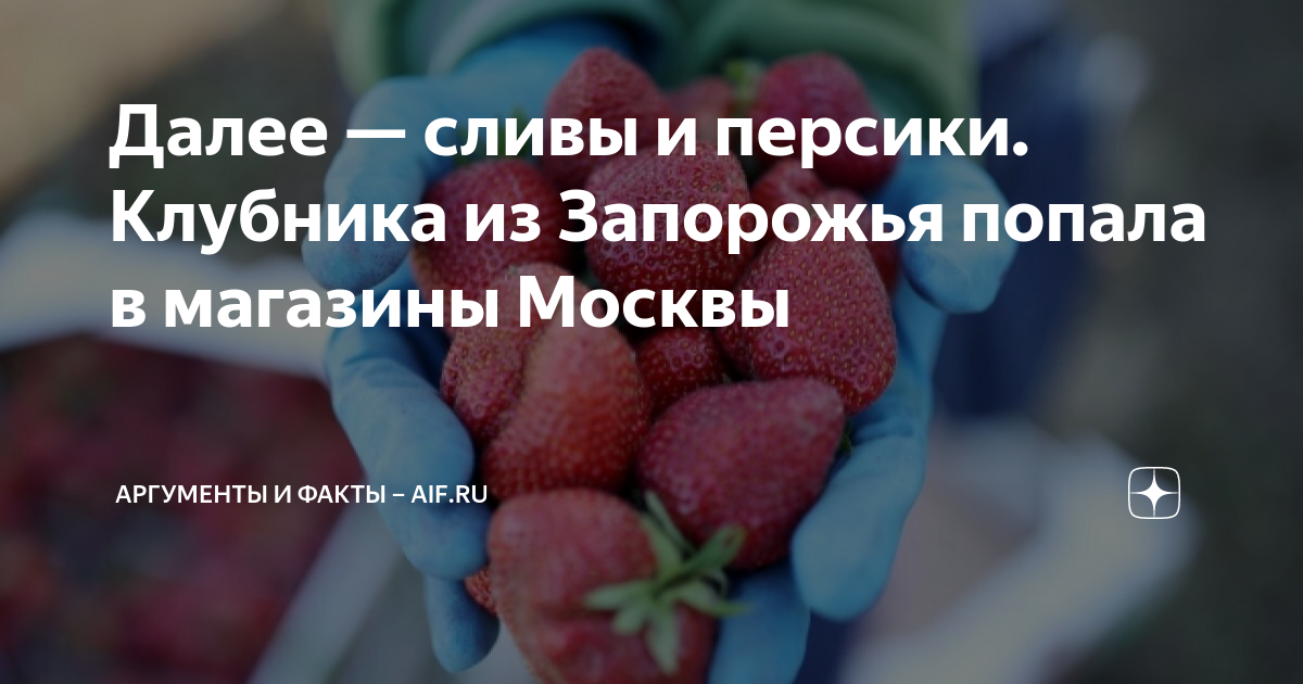 Далее — сливы и персики. Клубника из Запорожья попала в магазины Москвы ...