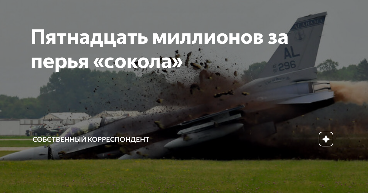Пятнадцать миллионов за перья «сокола» | Собственный корреспондент | Дзен