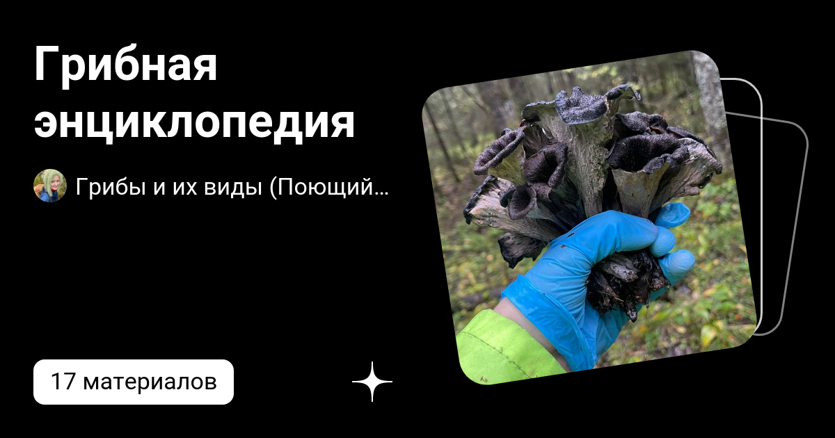 Грибная энциклопедия | Грибы и их виды (Поющий грибник) | Дзен