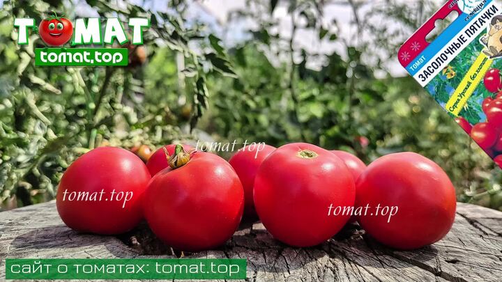 Очень низкорослый, для открытого грунта, не требует формировки, растёт ...