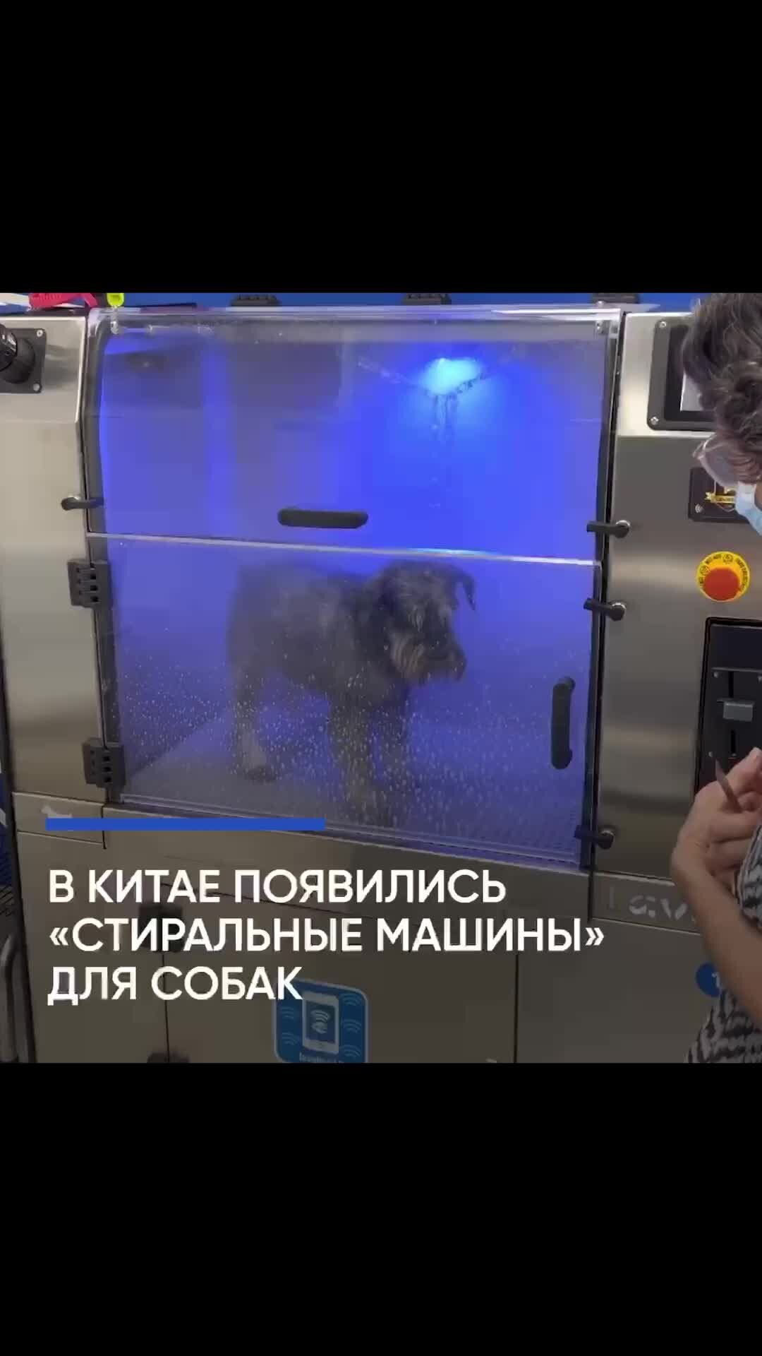 PostNews | В Шанхае появились мойки самообслуживания для домашних ...