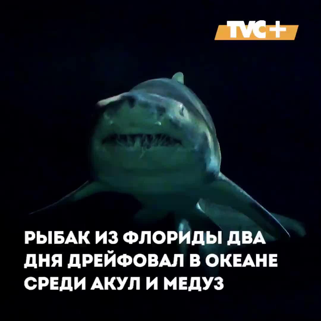 Рыбак из Флориды два дня находился в открытом океане среди акул