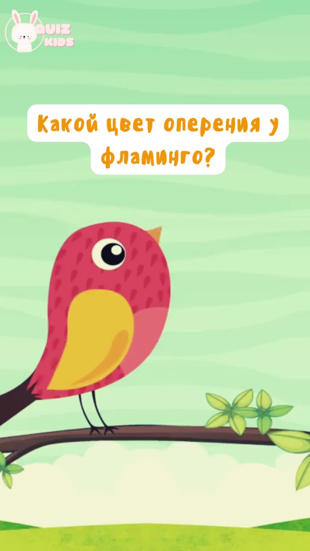 Quiz Kids | Квиз про птиц №3 | Викторина Quiz kids | Квизкидс | Дзен