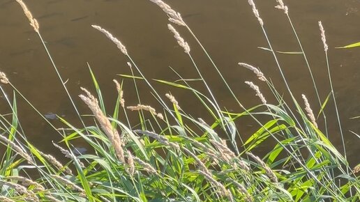 Andrei Rotaru | 👍👍👍#2023 | Дзен