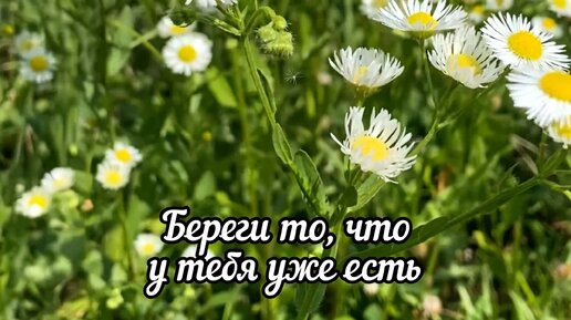 Mary Romanova | Благодарным всегда приходит еще больше благ 😌 # ...